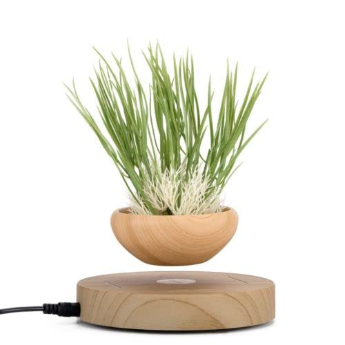 YBKJSTR LED Levitating Air Bonsai Pot Magnetic Levitation Suspension Flower Floating Pot Potted Plant Levitating Plant Pot for Display Decoration(Plant Pot Size, Height: 35mm, Diameter: 80mm)