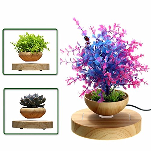 YBKJSTR LED Levitating Air Bonsai Pot Magnetic Levitation Suspension Flower Floating Pot Potted Plant Levitating Plant Pot for Display Decoration(Plant Pot Size, Height: 35mm, Diameter: 80mm)