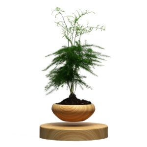 YBKJSTR LED Levitating Air Bonsai Pot Magnetic Levitation Suspension Flower Floating Pot Potted Plant Levitating Plant Pot for Display Decoration(Plant Pot Size, Height: 35mm, Diameter: 80mm)