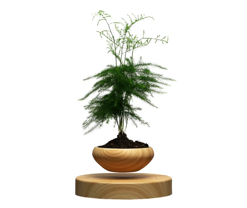 YBKJSTR LED Levitating Air Bonsai Pot Magnetic Levitation Suspension Flower Floating Pot Potted Plant Levitating Plant Pot for Display Decoration(Plant Pot Size, Height: 35mm, Diameter: 80mm)