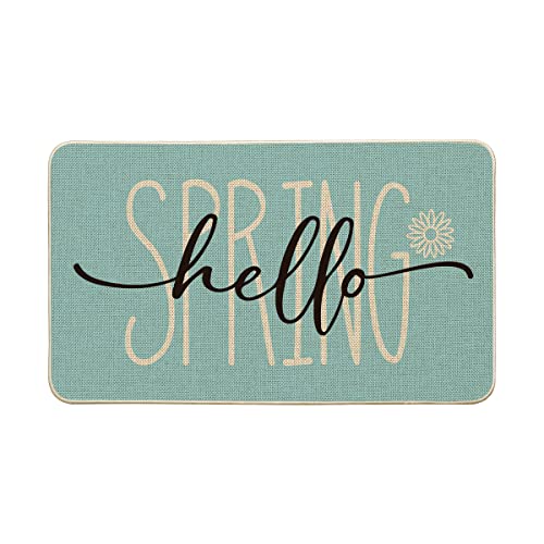 Artoid Mode Blue Hello Spring Daisy Welcome Decorative Doormat, Seasonal Low-Profile Rug Switch Mat for Indoor Outdoor 17x29 Inch