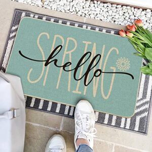 Artoid Mode Blue Hello Spring Daisy Welcome Decorative Doormat, Seasonal Low-Profile Rug Switch Mat for Indoor Outdoor 17x29 Inch