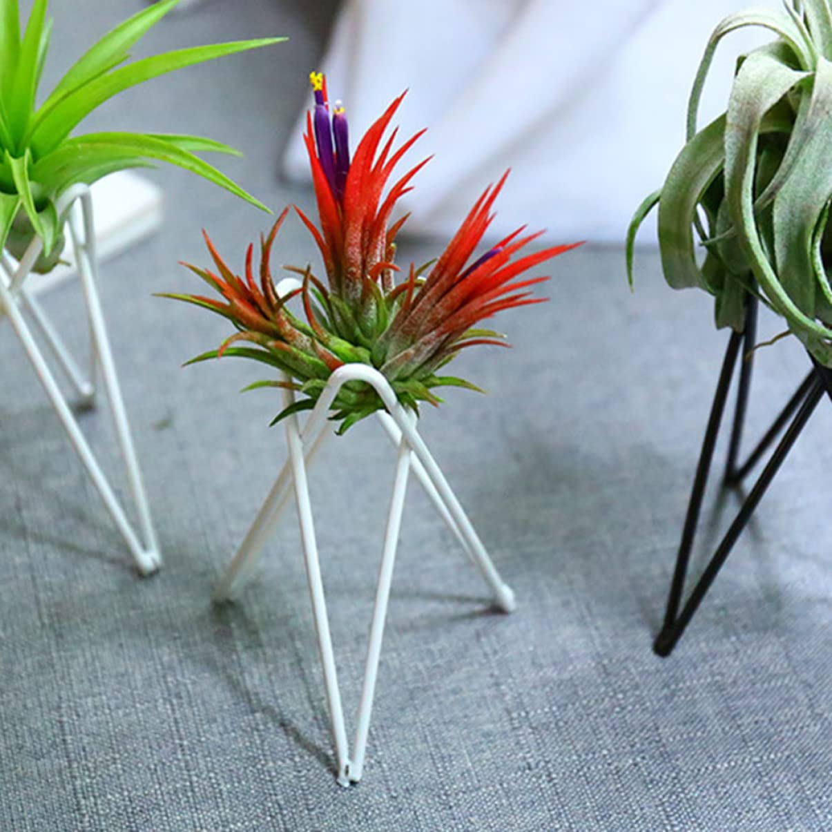 TEHAUX 4pcs Flower Stand Geometric Plant Stand Pots for Outdoor Plants Planters for Indoor Plants Pots for Indoor Plants Modern Plant Stands Tillandsia Stand Wall Mount Air Office Metal