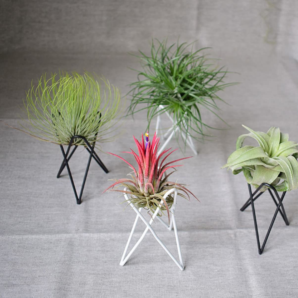 TEHAUX 4pcs Flower Stand Geometric Plant Stand Pots for Outdoor Plants Planters for Indoor Plants Pots for Indoor Plants Modern Plant Stands Tillandsia Stand Wall Mount Air Office Metal