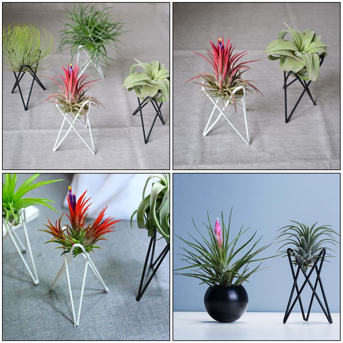 TEHAUX 4pcs Flower Stand Geometric Plant Stand Pots for Outdoor Plants Planters for Indoor Plants Pots for Indoor Plants Modern Plant Stands Tillandsia Stand Wall Mount Air Office Metal