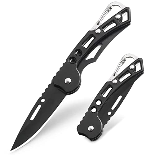 QZL EDC Pocket Knife for Men, Small Folding Keychain Knife with clip, Stainless Steel Knife Box Cutter for Women, Pocket Knives for Outdoor Camping Hiking, Mens Gift