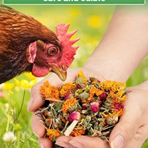 Chicken Nesting Herbs - 14 Oz Natural Nesting Box Herbs in 6 Dried Flower & Herbs for Keeping Coop Fresh and Create Comfortable Environment for Chickens