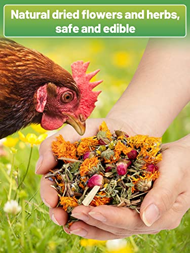 Chicken Nesting Herbs - 14 Oz Natural Nesting Box Herbs in 6 Dried Flower & Herbs for Keeping Coop Fresh and Create Comfortable Environment for Chickens