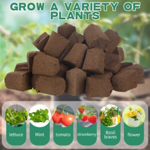 Amyhill Hydroponic Sponges Grow Starter Pods Organic Rooter Plugs Growth Sponge Starter Plugs for Plant Growing Cloning (200 Pieces)