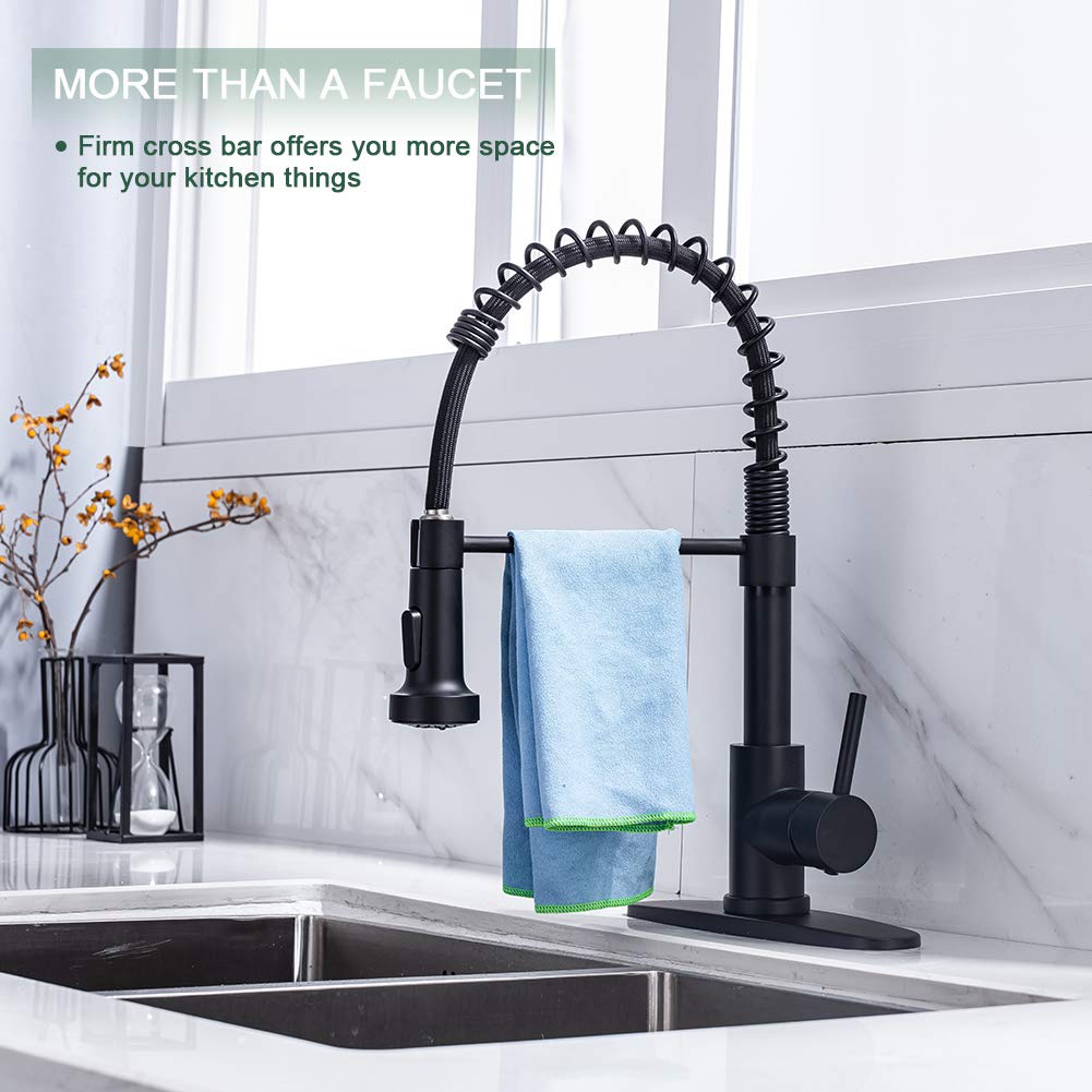 WEWE Kitchen Faucets with Pull Down Sprayer Commercial Industrial Stainless Steel Single Handle Single Hole Spring with WEWE Black Glass Rinser