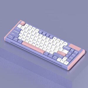 DUSTSILVER Wireless Keyboard Mechanical Gaming Keyboard Hot-swappable RGB Backlit Supports BT 5.0/2.4G Wireless/Wired 3 Modes Brown Switch 84 Keys Programmable Macro for Windows/MacOS Lilac