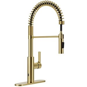 ANZZI Ola Hands Free Touchless Kitchen Faucet with Motion Sensor - Brushed Gold Finish