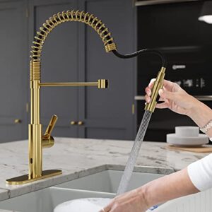 ANZZI Ola Hands Free Touchless Kitchen Faucet with Motion Sensor - Brushed Gold Finish