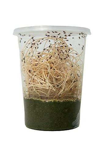 Finn's Frog Farm Fruit Fly Media (Makes 24 Cultures)