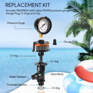 98209800 High Flow Manual Air Relief Valve w/Pressure Gauge Replacement for Pool and Spa Filter