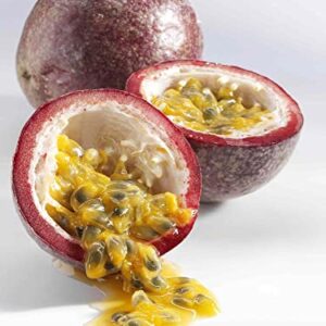 Gaea's Blessing Seeds - Passion Fruit Seeds - Heirloom Non-GMO Seeds with Easy to Follow Instructions - Passiflora edulis 90% Germination Rate