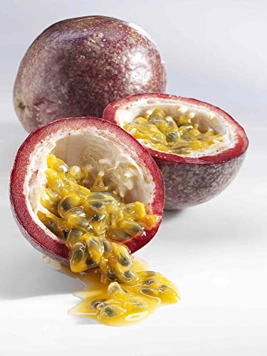 Gaea's Blessing Seeds - Passion Fruit Seeds - Heirloom Non-GMO Seeds with Easy to Follow Instructions - Passiflora edulis 90% Germination Rate