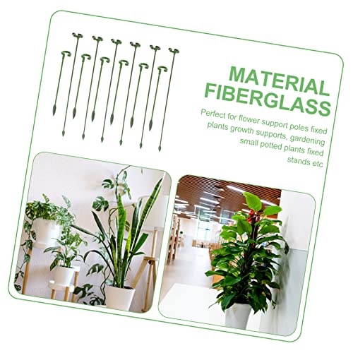 Succulants 20pcs Border Ring Trellis Lily Support Plant Tools Stem Amaryllis Fiberglass Fruits Hydrangea Orchid/Single Holders Stand Outdoor Rack Stake Rose Bonsai Flowers Vine