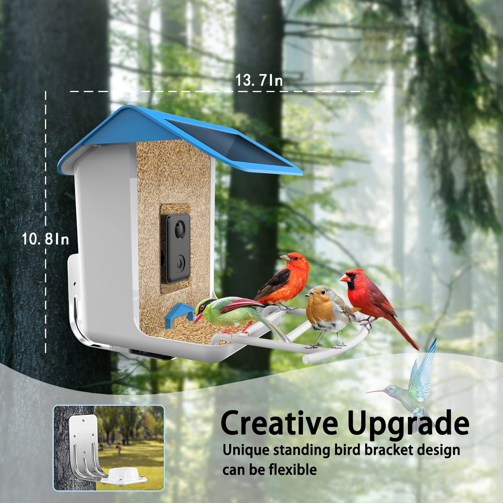 Bird Feeder with Camera,Bird Feeder with Camera Wireless Outdoor,Smart Bird Feeder with Camera,Video Bird Feeder Camera with Solar Camera Bird Feeders for Outside Camera Bird Feeder