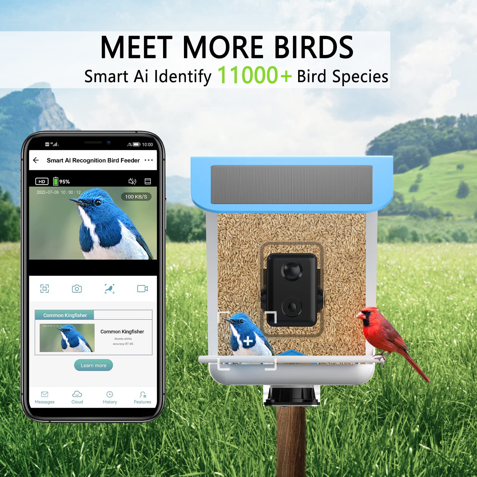 Bird Feeder with Camera,Bird Feeder with Camera Wireless Outdoor,Smart Bird Feeder with Camera,Video Bird Feeder Camera with Solar Camera Bird Feeders for Outside Camera Bird Feeder