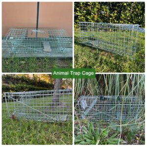 Live Animal Trap for Possum, Groundhog,Gopher,Beaver,Folding Raccoon Trap,Humane Live Animal Cage, Humane Small Animal Trap 32 X 12 X 12.5Inch Animal Trap,Catch & Release,Easy Installation and Use