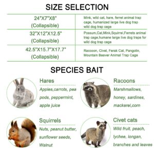 Live Animal Trap for Possum, Groundhog,Gopher,Beaver,Folding Raccoon Trap,Humane Live Animal Cage, Humane Small Animal Trap 32 X 12 X 12.5Inch Animal Trap,Catch & Release,Easy Installation and Use