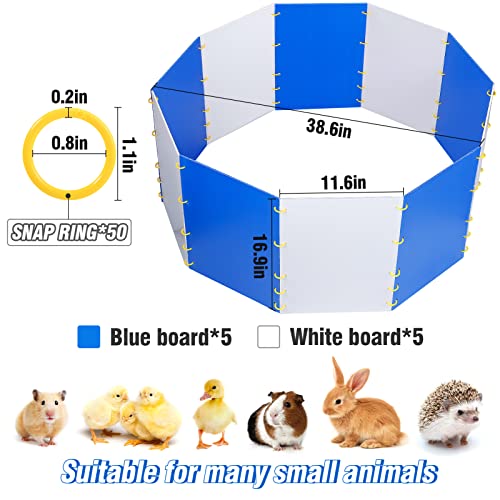 Chicken Brooder Start Kit - Safe Reusable Chicken Brooder Box with Dense Holes on Hollow Corrugated Boards and Small Snap Rings for Chicks Ducklings (Blue & White)