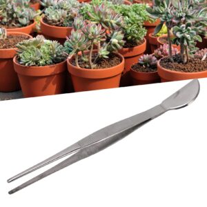 Biitfuu Bonsai Tweezers Stainless Steel Moon Spatula Head Stainless Steel Bonsai Tweezers for Curved Style (Straight)