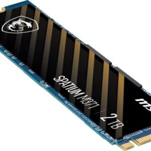 MSI SPATIUM M371 NVMe M.2 2TB Internal SSD PCIe Gen3 NVMe 3D NAND (SPATIUM M371 NVMe M.2 2TB)