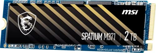 MSI SPATIUM M371 NVMe M.2 2TB Internal SSD PCIe Gen3 NVMe 3D NAND (SPATIUM M371 NVMe M.2 2TB)