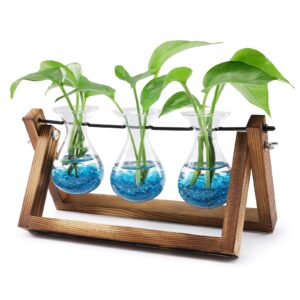 xcc plant propagation station - 3 bulb vase, perfect home and office decor, ideal gift for women, beautiful garden decoration, great birthday gift for planter lover