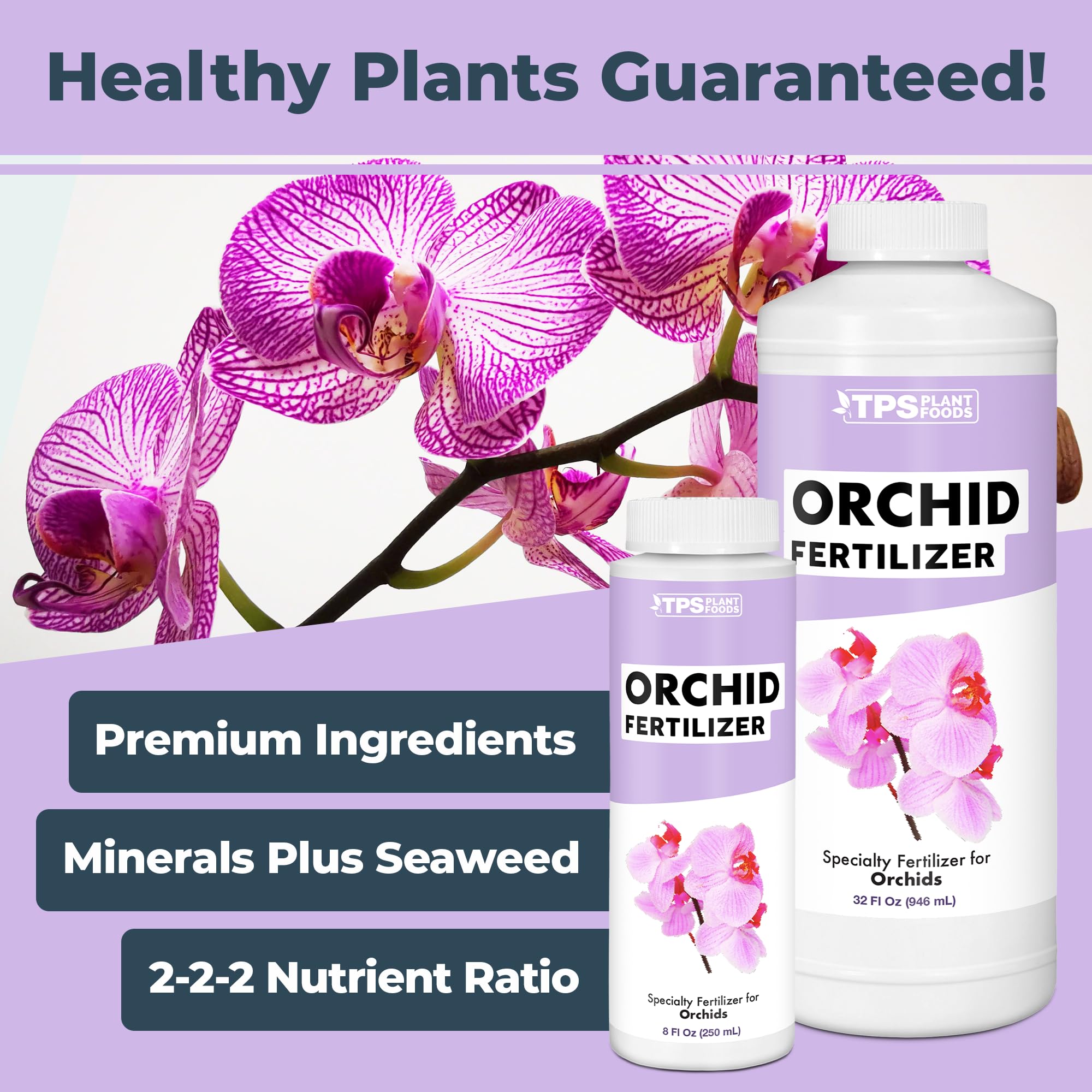 Orchid Plant Food for All Orchids and Acid Loving Houseplants, Promotes Growth and Blooms, Liquid Fertilizer 8 oz (250mL)