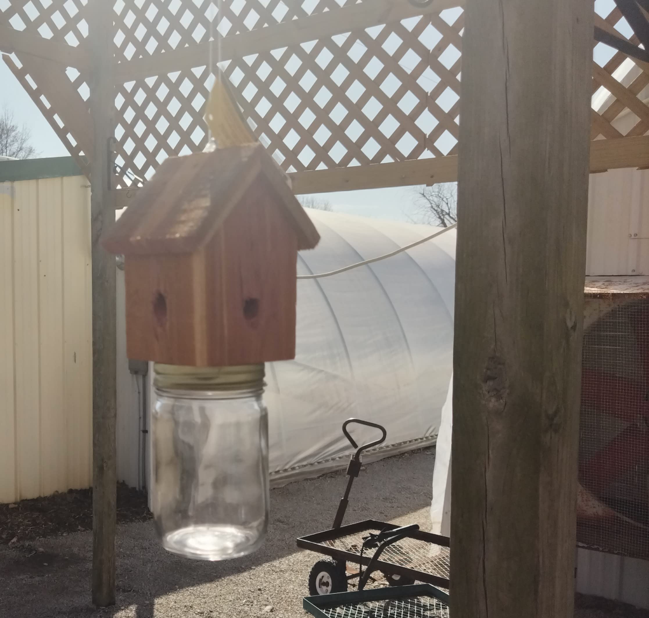 Amish-Made Rustic Carpenter bee catching Device