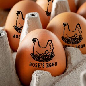 egg stamps for fresh eggs, flat rubber stamp for eggs, chicken egg stamp for fresh eggs, egg stamps, custom egg stamp, egg labels, mini egg stamp, farm stamp, eggs stamp