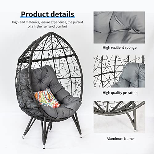 Temminkii Outdoor Patio Wicker Egg Chair Indoor Basket Wicker Chair with Grey Cushion for Backyard Poolside