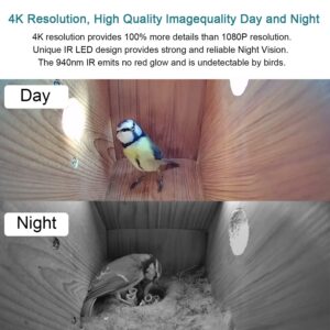 WIWACAM WiFi Bird Box Camera, 4K HD WLAN, Live Video to Phone, Easy Installation to Most of Bird Box Bird House Birdhouse Feeders Nesting, for Robins, Wrens, Tree Swallows, with Night Mode, Recording