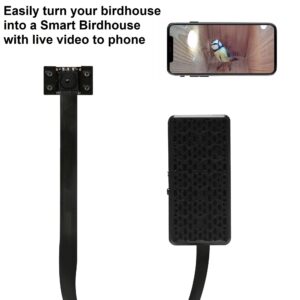 WIWACAM WiFi Bird Box Camera, 4K HD WLAN, Live Video to Phone, Easy Installation to Most of Bird Box Bird House Birdhouse Feeders Nesting, for Robins, Wrens, Tree Swallows, with Night Mode, Recording