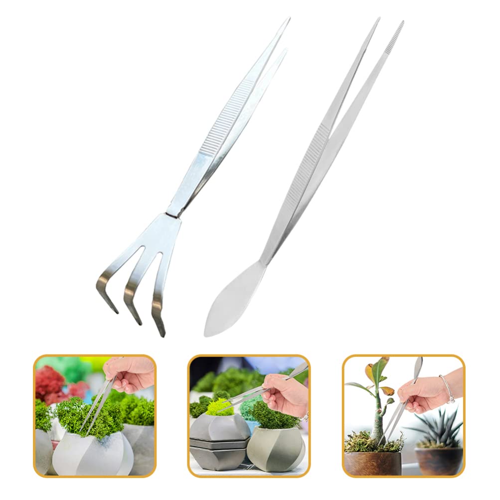 GANAZONO Stainless Steel Spatula 2pcs Bonsai Tweezers Curved Serrated Tips with Spatula Stainless Steel Japanese Professional Bonsai Tools Gardening Tool Rake Tweezers for Bonsai Planter Multitools