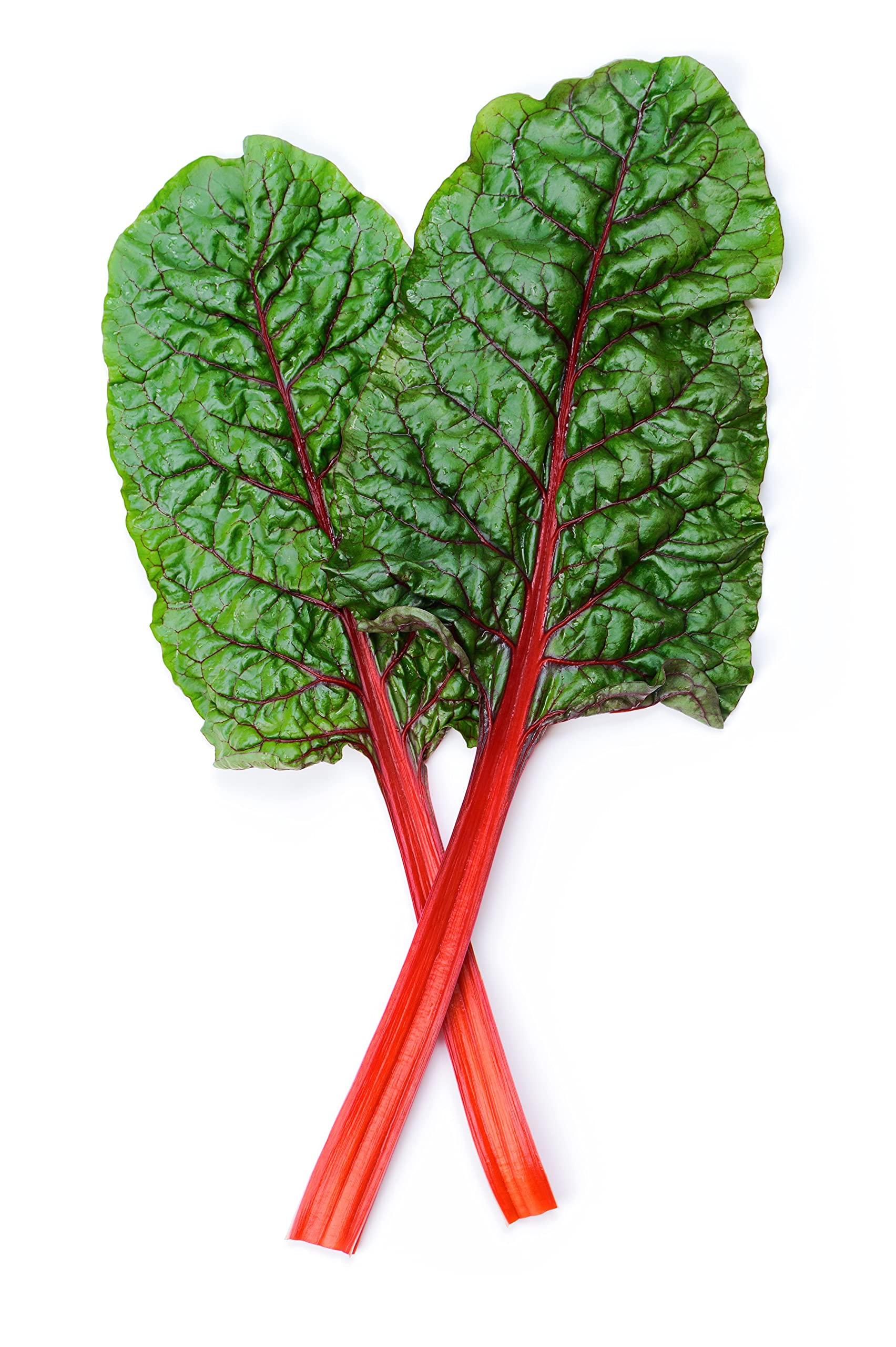 Swiss Chard - Ruby Red Seed Pods (3) for HydroGarden