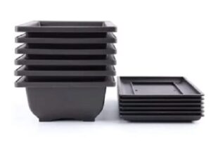 cz grain 6 inch bonsai pots and drip trays - starter bonsai pots, small bonsai pots (6 pots)