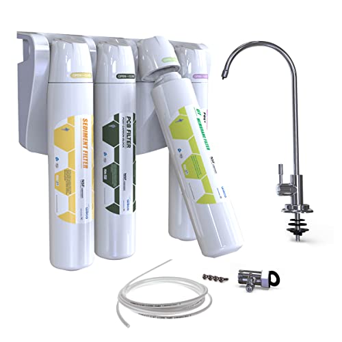 HEALSUMM 4-Stage Under Sink Water Provider System for Home use - Direct Connect, NSF/ANSI 42 Element, KC Certified, Quick Change, Made in Korea (Package Including Faucet)