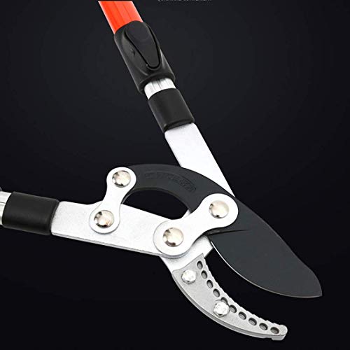 Heavy Duty Tree Ratchet Lopper Pruner Professional Garden Lopper, Anvil Razor Blades for Cutting Thick Branches, Suitable for Fruit Tree Pruning, Bonsai Pruning Every Family