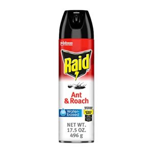 raid ant & roach aerosol bug spray, water-based formula insecticide with no greasy residue, kills on contact, 17.5 oz