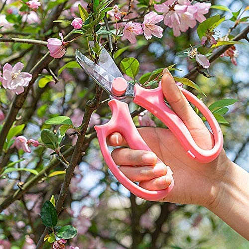 Secateurs, Professional Pruning Shears Scissors Garden Scissors Grafting Bonsai Tool Fruit Tree Pruning Shears Flower Pruners Garden Shears Gardening Secateurs (Purple) Every Family