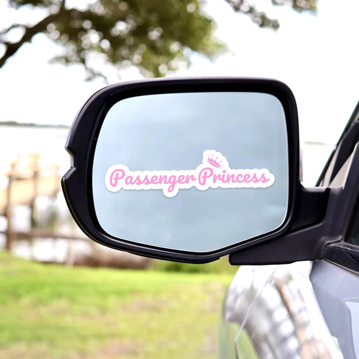 Akira Passenger Princess Sticker, Waterproof Car Decals Vinyl, Funny Car Stickers for Car Window Rear View Mirror Phone Water Bottle, Passenger Princess Car Accessories Gifts for Girlfriend