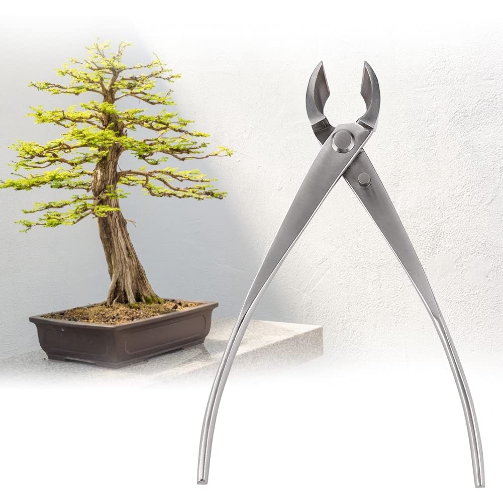 GLOGLOW Bonsai Branch Cutter, Stainless Steel Branch Cutter, for Household