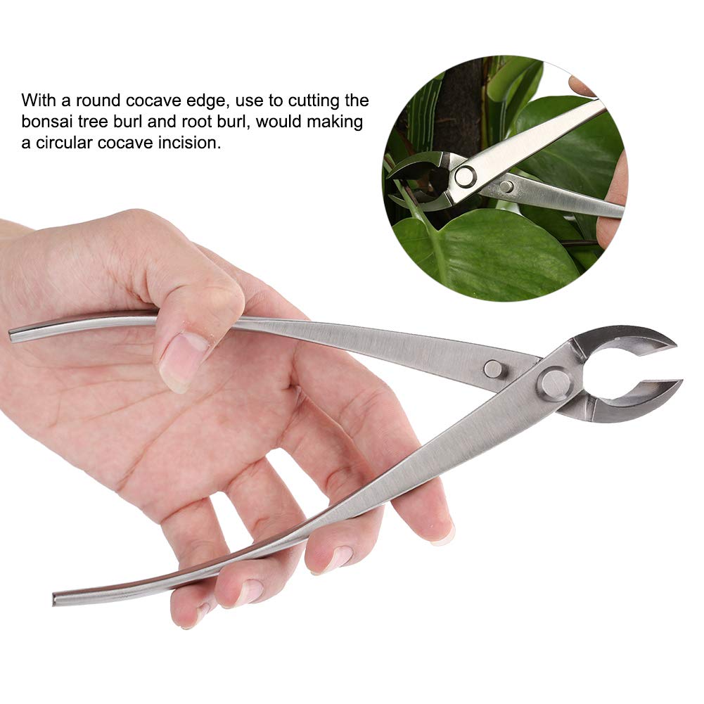 GLOGLOW Bonsai Branch Cutter, Stainless Steel Branch Cutter, for Household