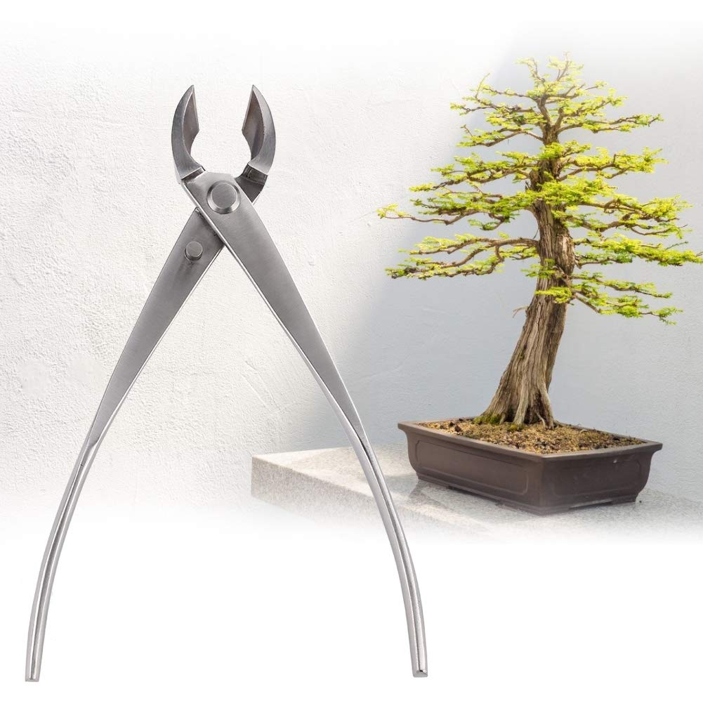 GLOGLOW Bonsai Branch Cutter, Stainless Steel Branch Cutter, for Household