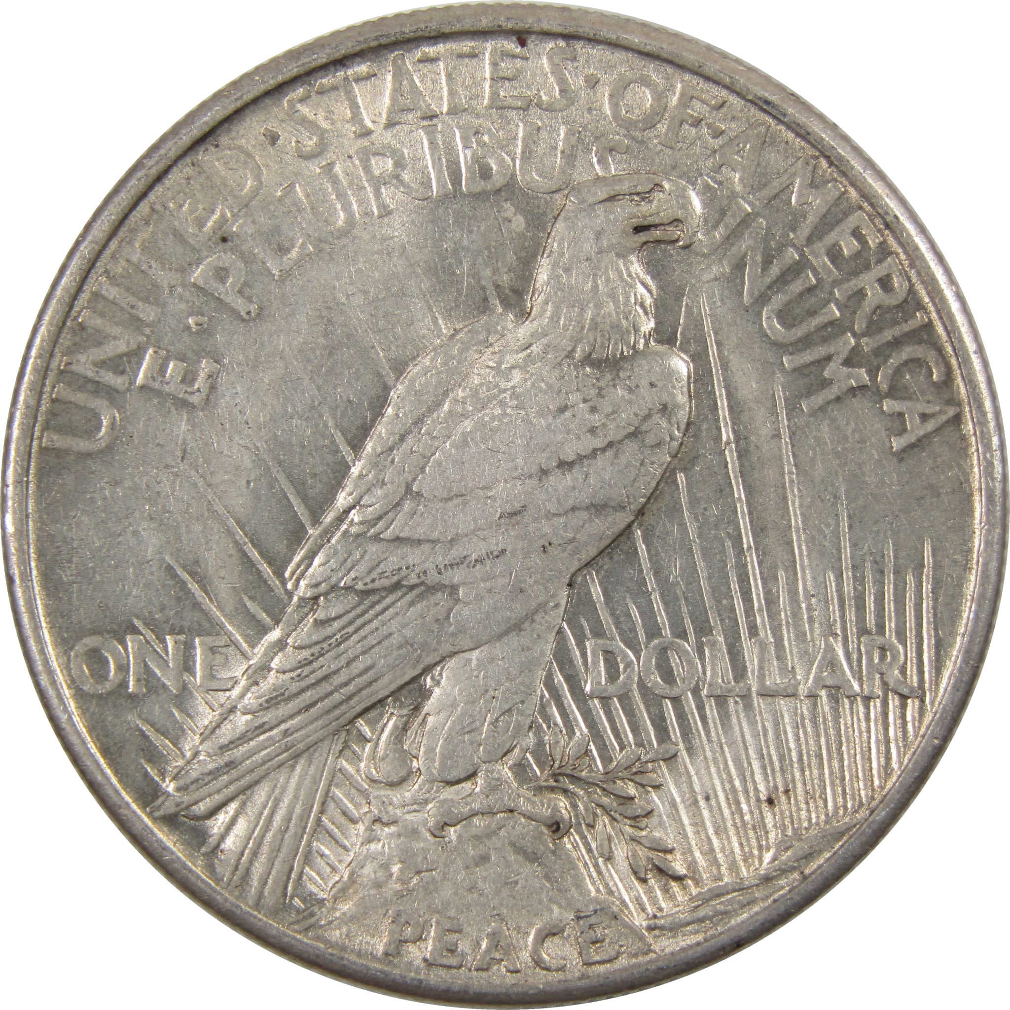 1921 High Relief Peace Dollar Borderline Uncirculated Silver SKU:I3458