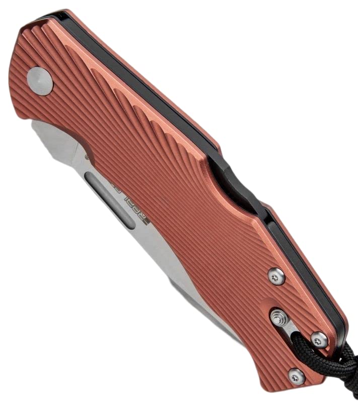 RS 7798 Limited Edition 14C28N Sandvik Lockback Folder